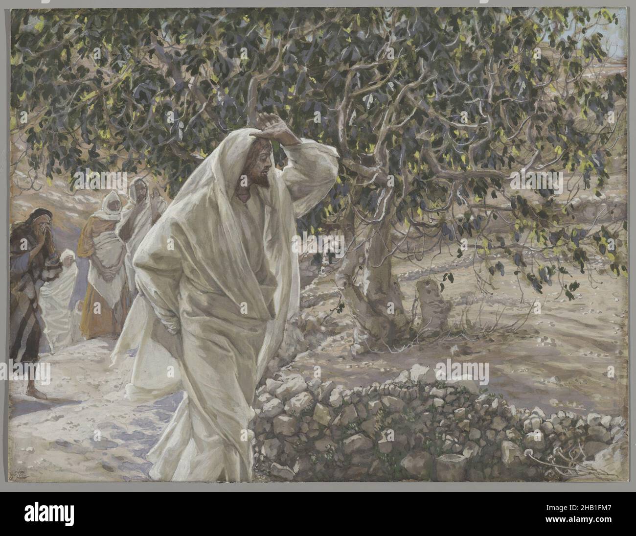 Le figuier de hi-res stock photography and images - Alamy