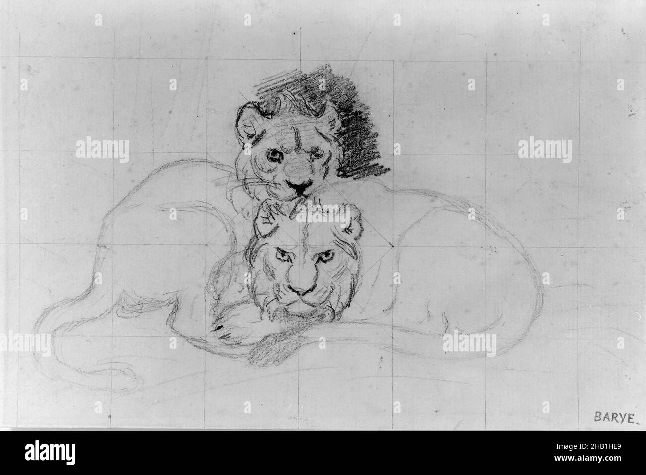 Two Lions, Antoine-Louis Barye, French, 1795-1875, Graphite on laid ...