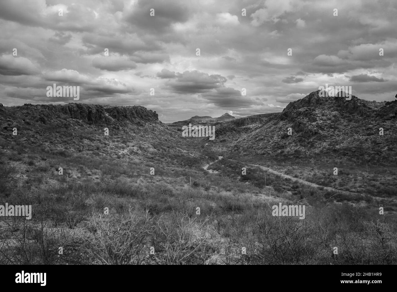 Grayscale shot of a field with dry plants and hills under a cloudy sky ...