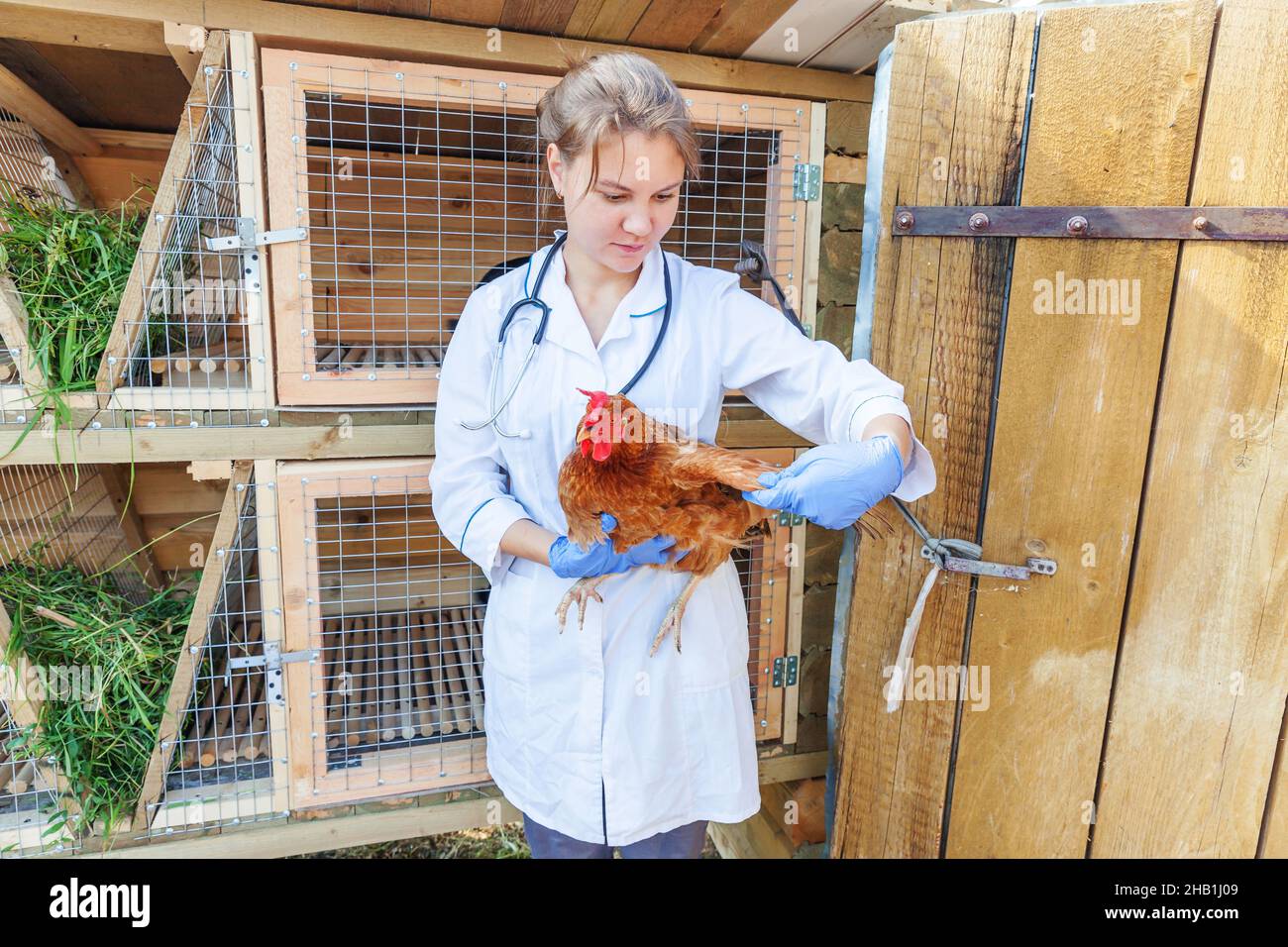 Happy young veterinarian woman with stethoscope holding and examining ...