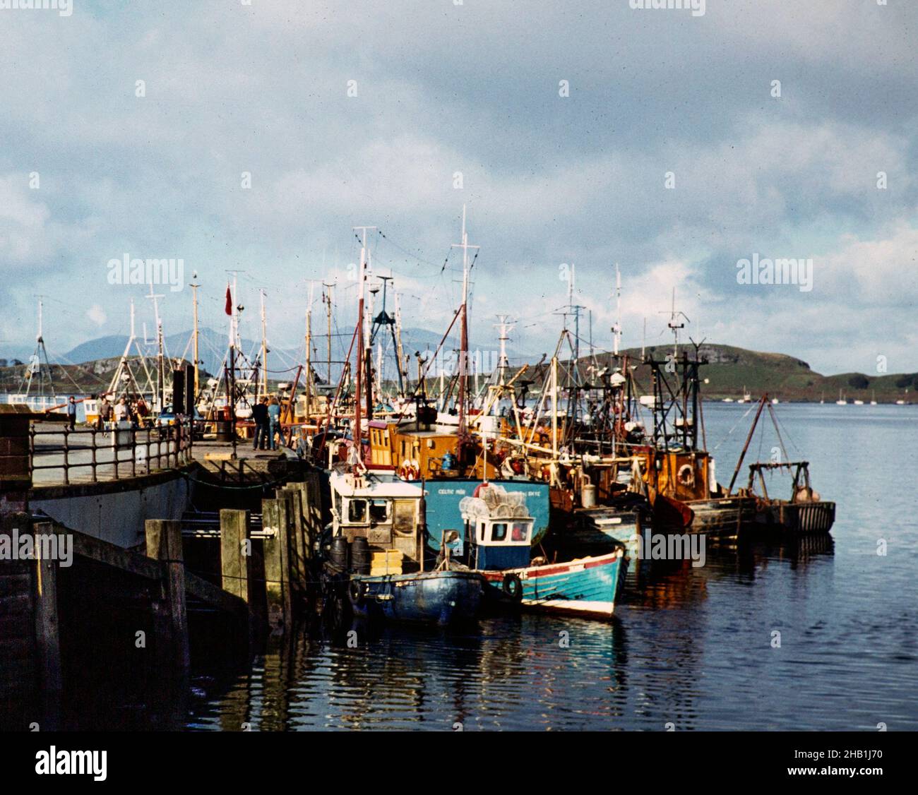 Fishing trawlers many are traditional Scottish Seine Netters, Oban ...