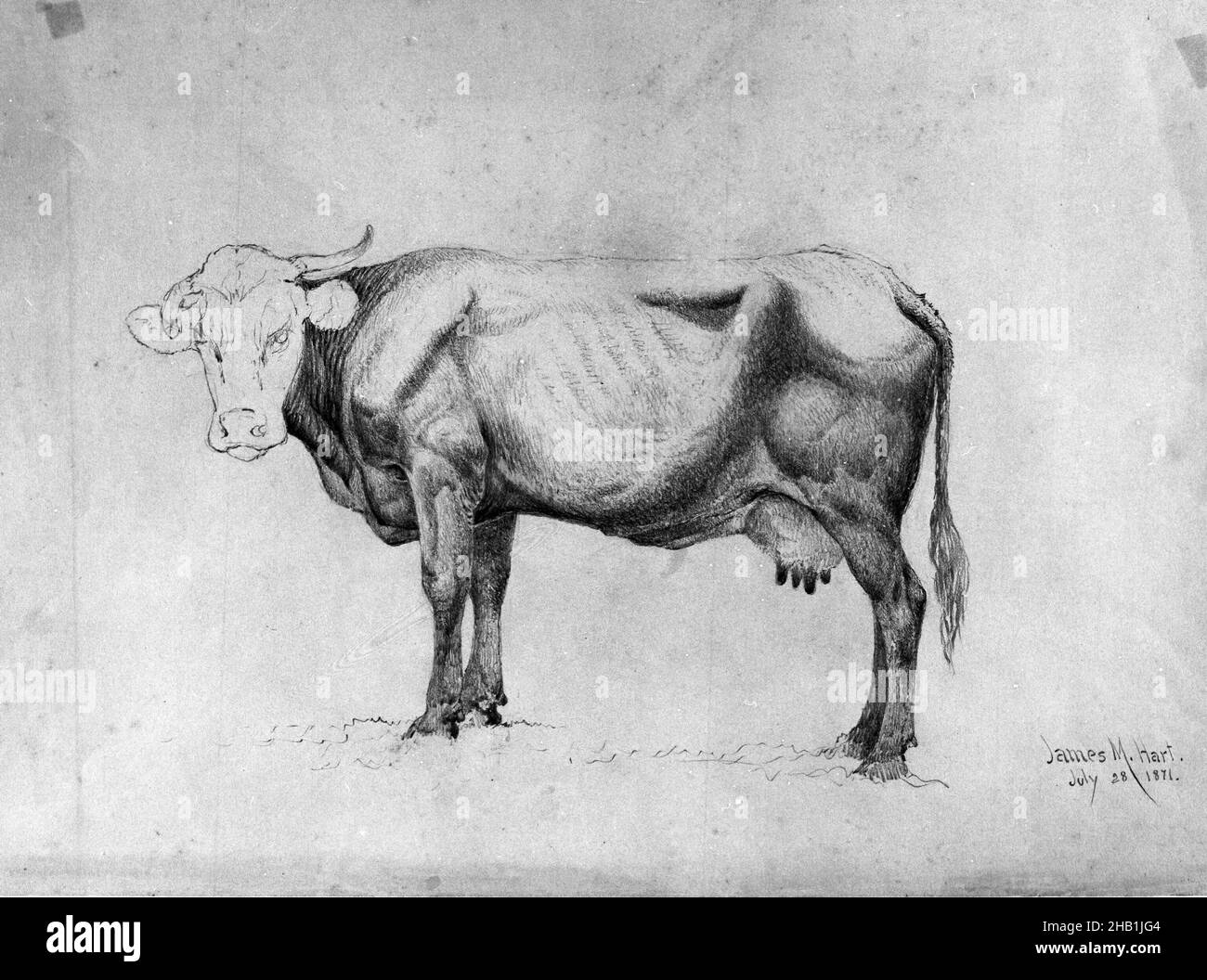 12 july 1871 hi-res stock photography and images - Alamy