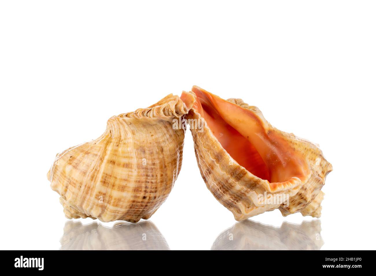 Empty beach sand close up Cut Out Stock Images & Pictures - Alamy