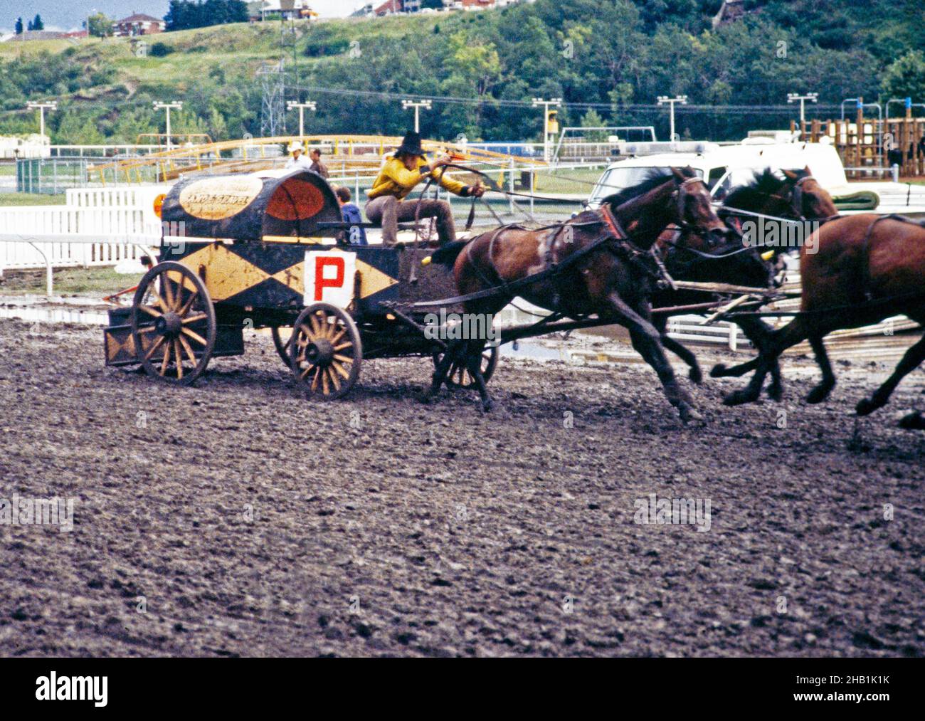 Horses racing 1980s hi-res stock photography and images - Alamy