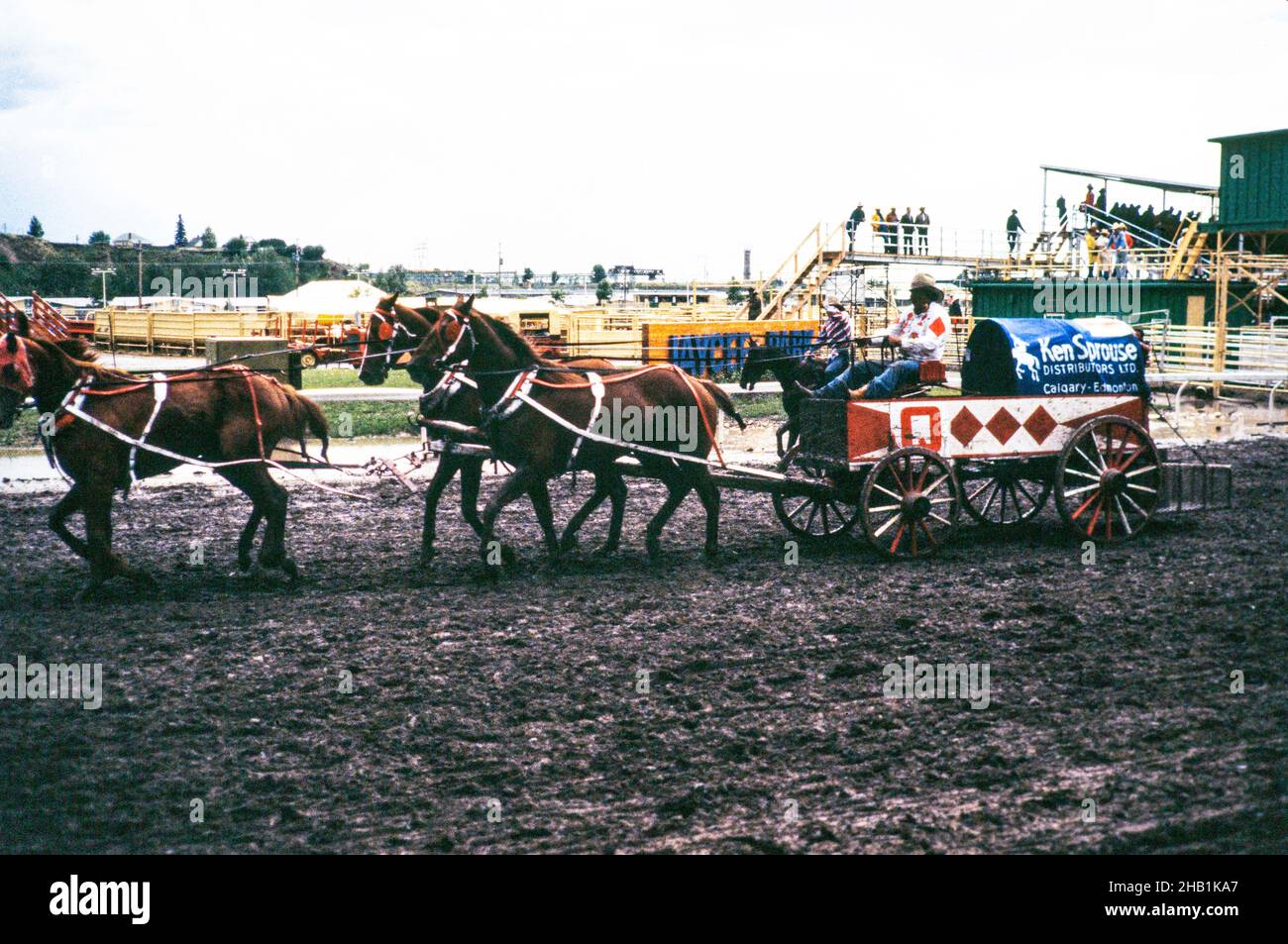 1970s horse race hi-res stock photography and images - Alamy