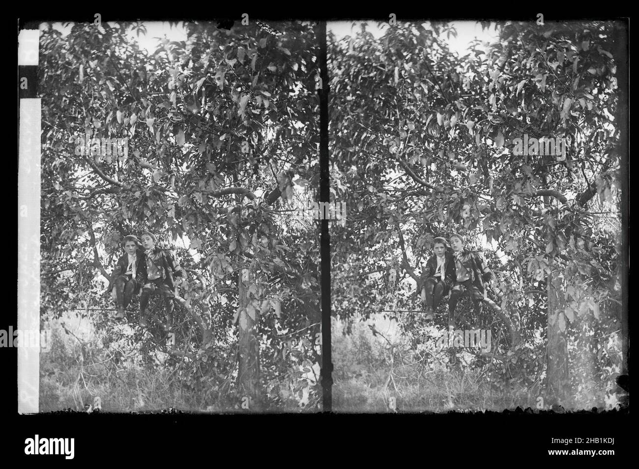 Ryder's Pond, Strome Kill, Ralph and Marshall in a Tree, Avenue T and ...