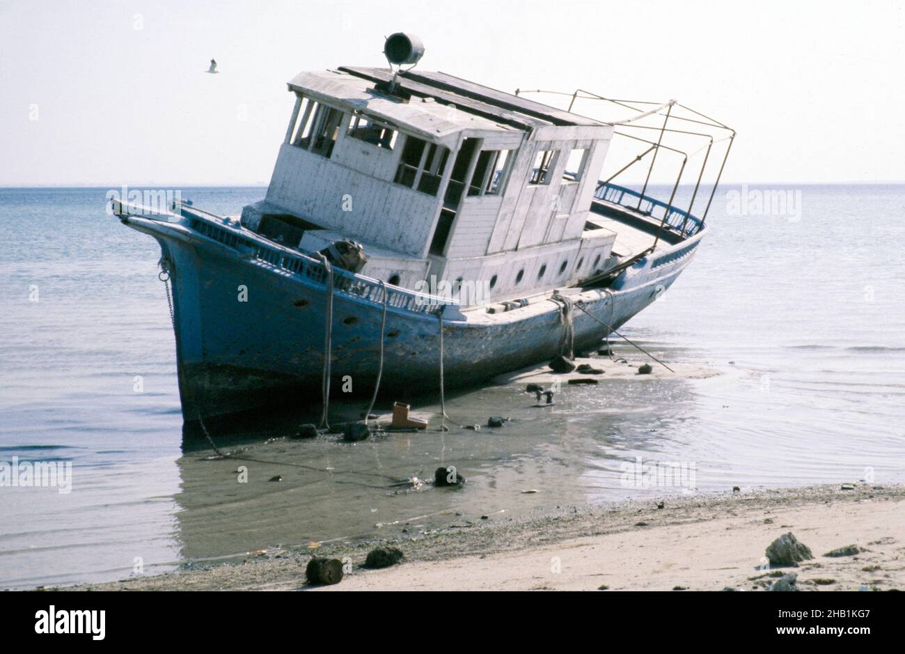 Archive image traditional Arab dhow boats thought to be at Darin ...