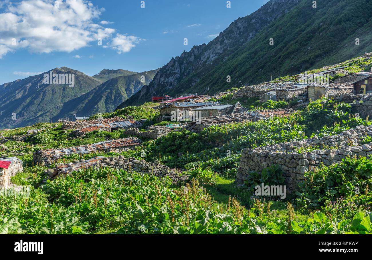 Rize offers a peaceful life with its high parts, mountains, valleys ...