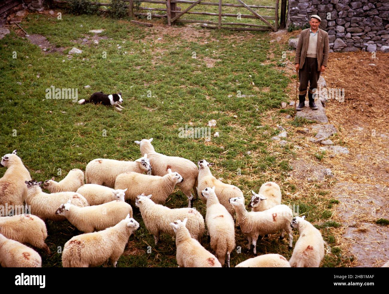 Wales 1964 hi-res stock photography and images - Alamy
