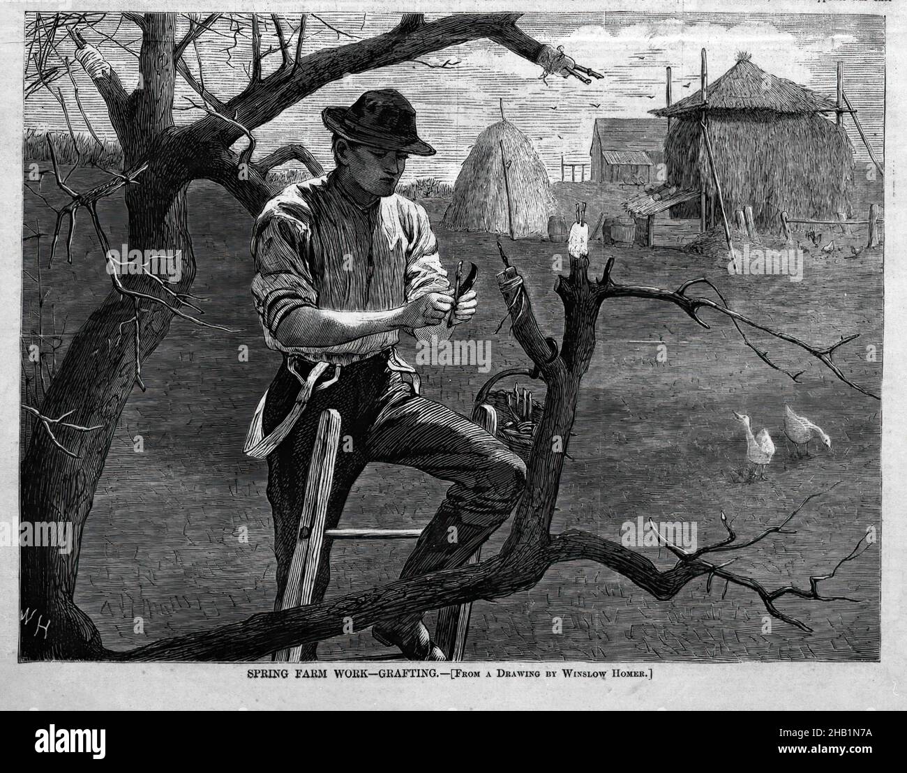 19th century agriculture hi-res stock photography and images - Alamy