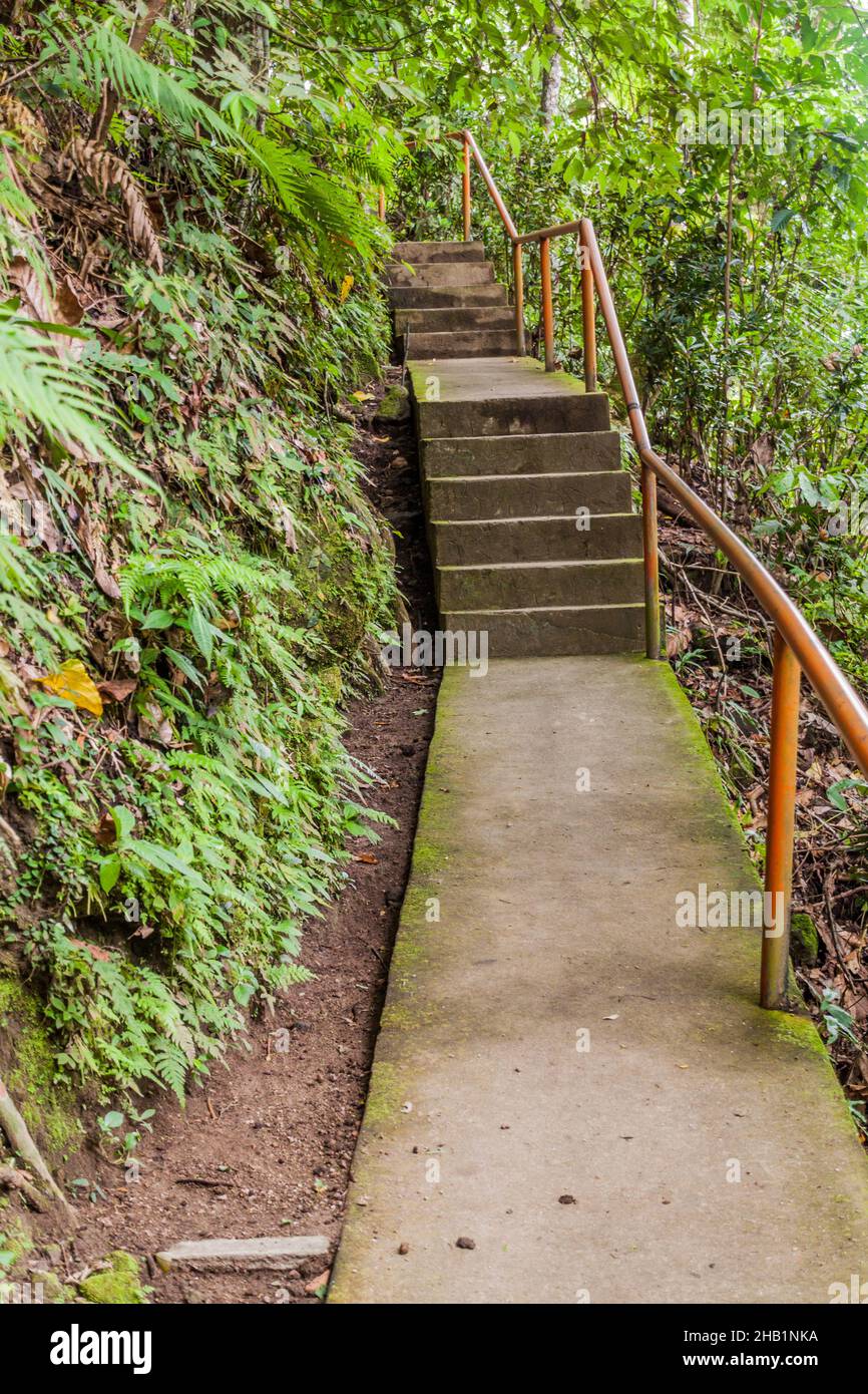 Hiking trail to Casaroro Falls in Valencia, Negros island, Philippines ...