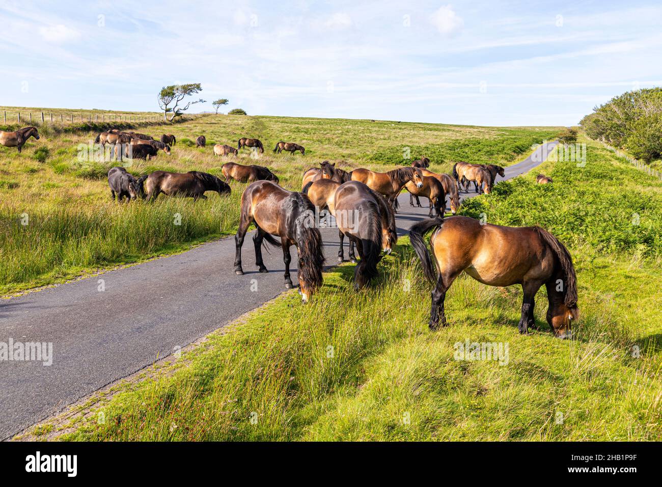 Where roads cross moorland hi-res stock photography and images - Alamy