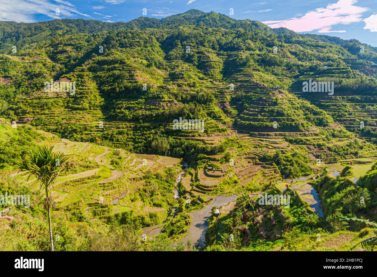 Rice terraces near Banaue village on Luzon island, Philippines Stock ...