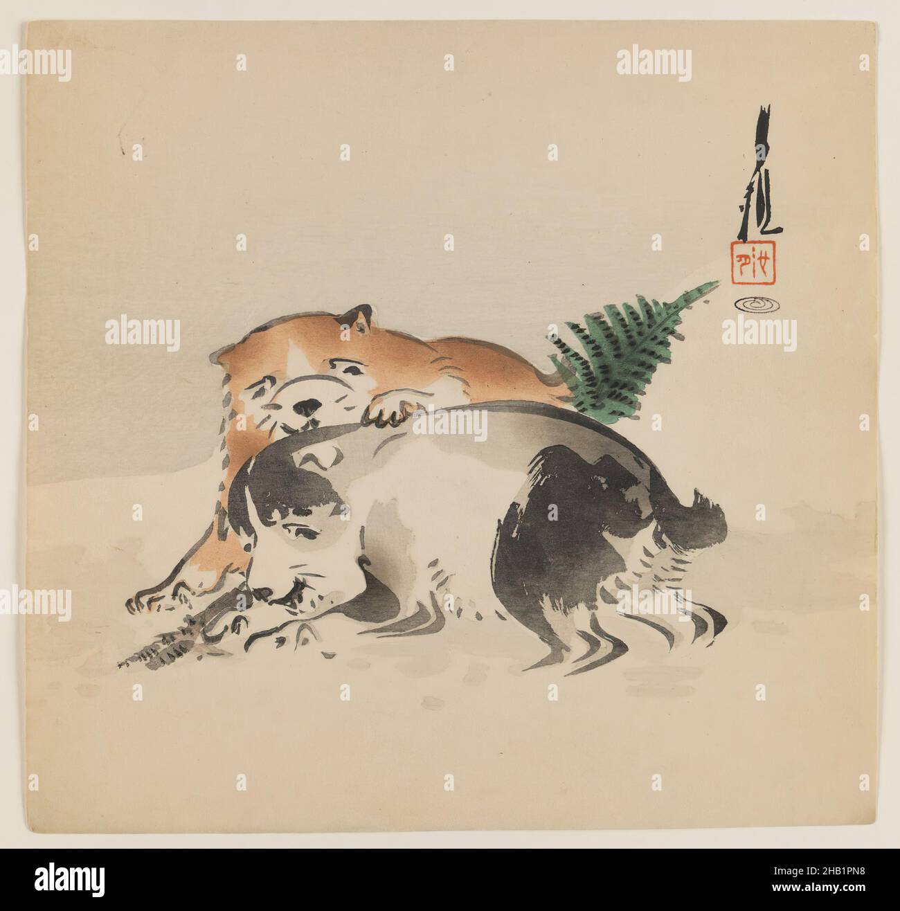 7 puppies hi-res stock photography and images - Alamy