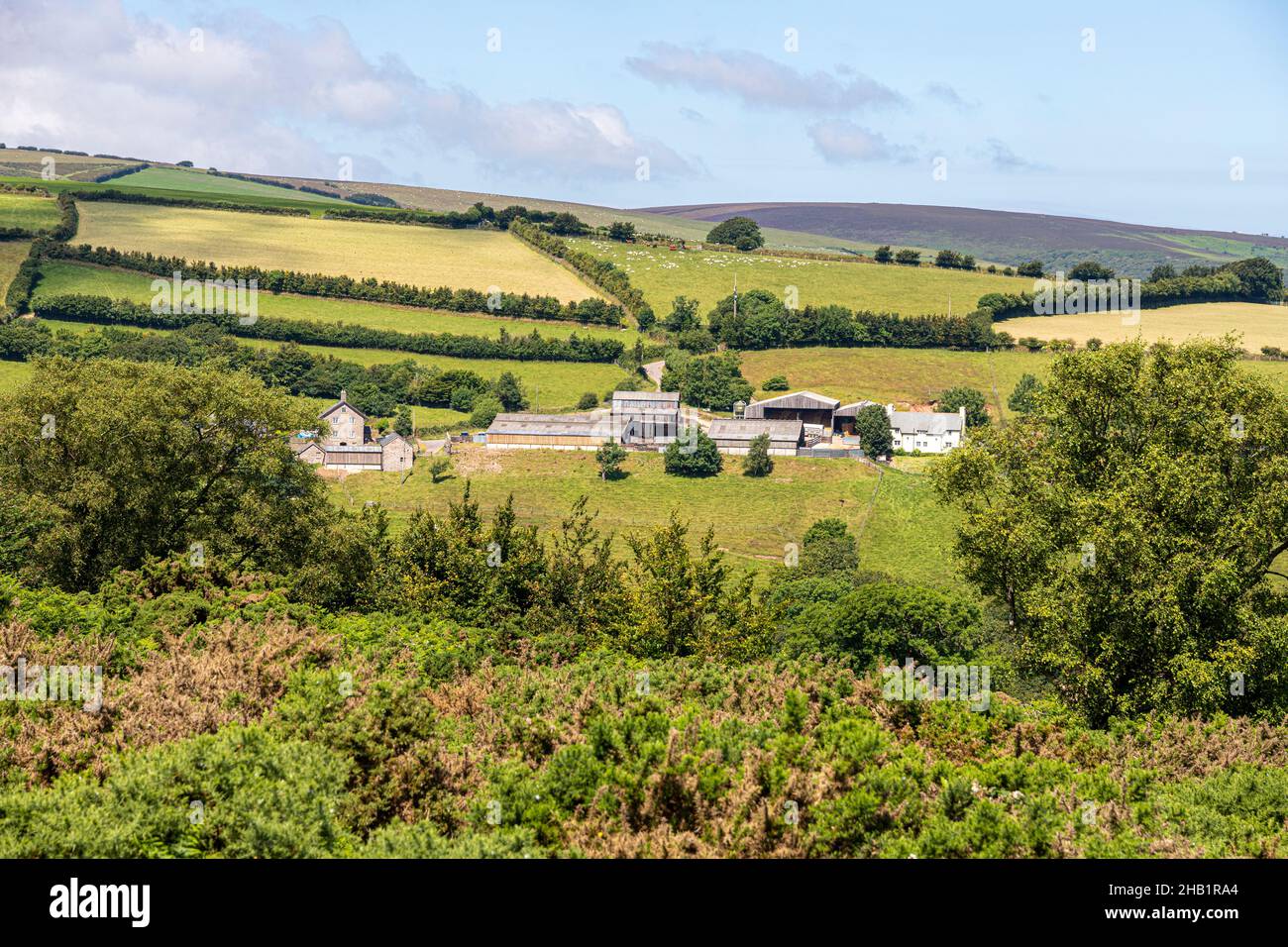 Wilmersham farm hi-res stock photography and images - Alamy