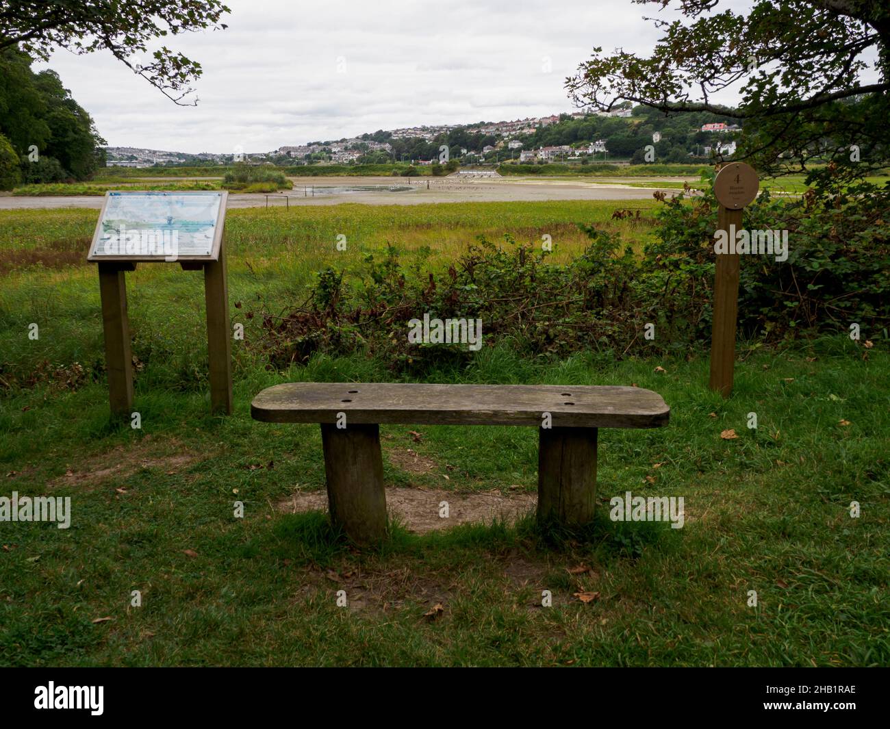 Blaxton Meadow, viewing bench and info board along the Plym Valley ...