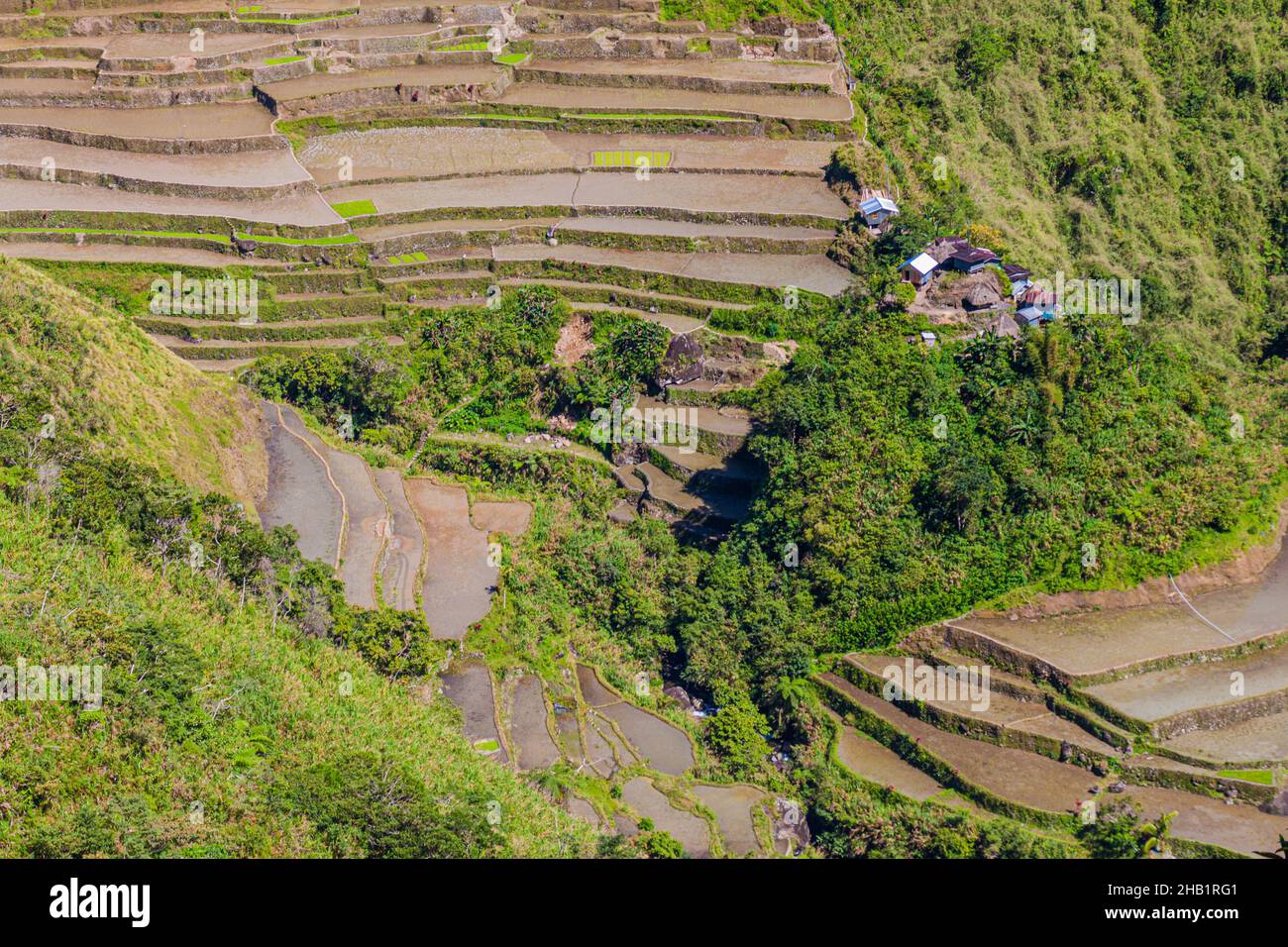 Small village in the rice terraces near Banaue, Luzon island ...
