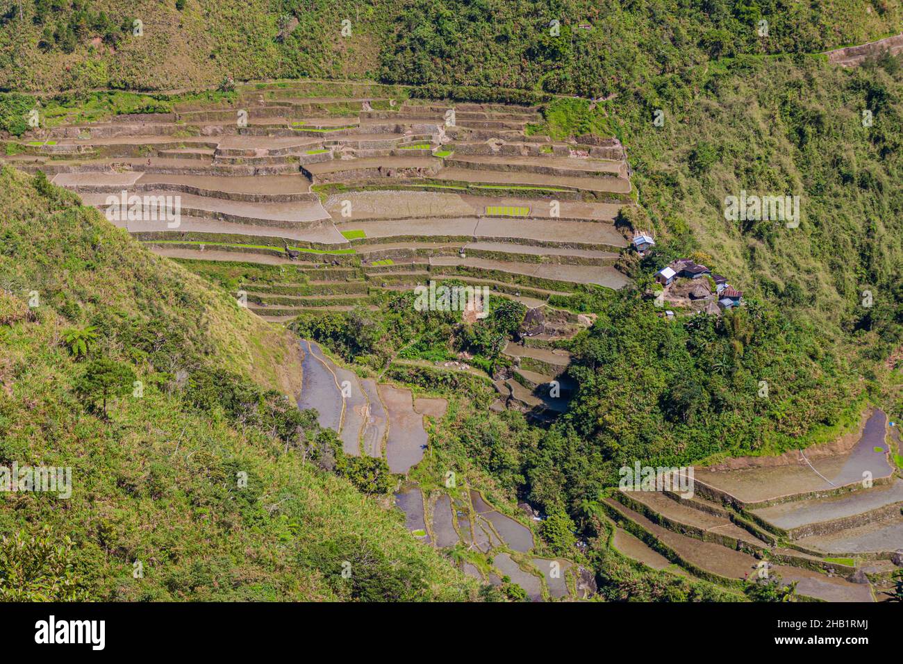 Small village in the rice terraces near Banaue, Luzon island ...