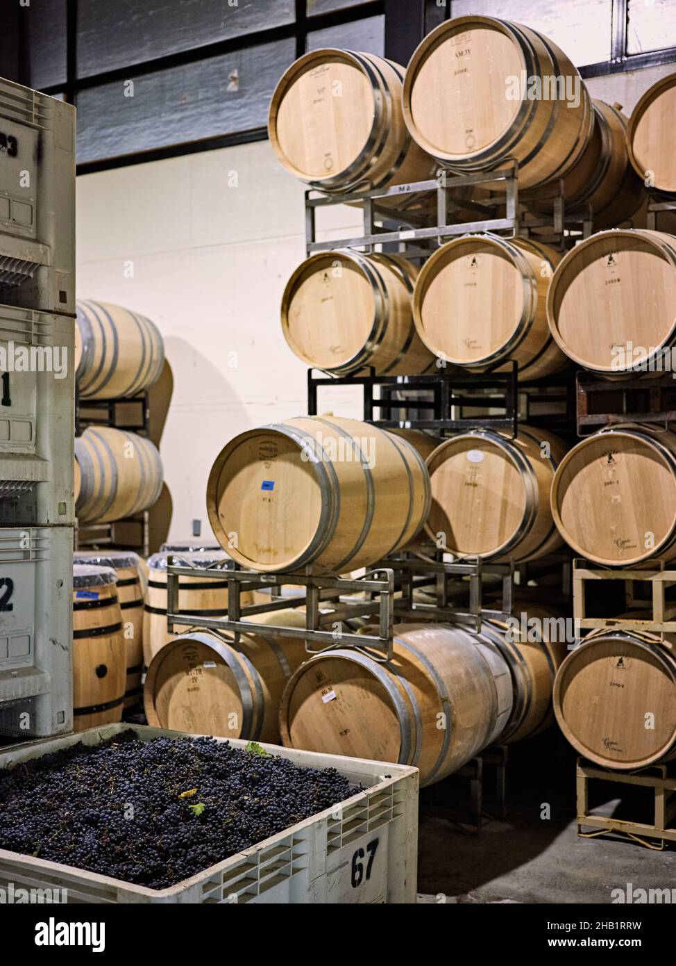 Fermenting grapes hi-res stock photography and images - Alamy