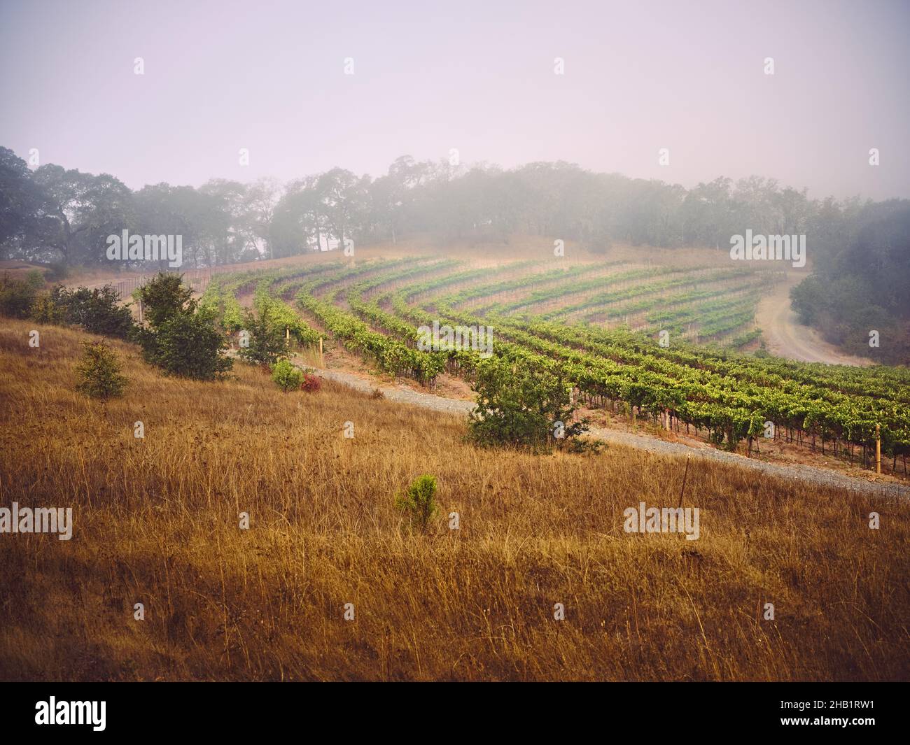 Napa river vineyard hi-res stock photography and images - Alamy