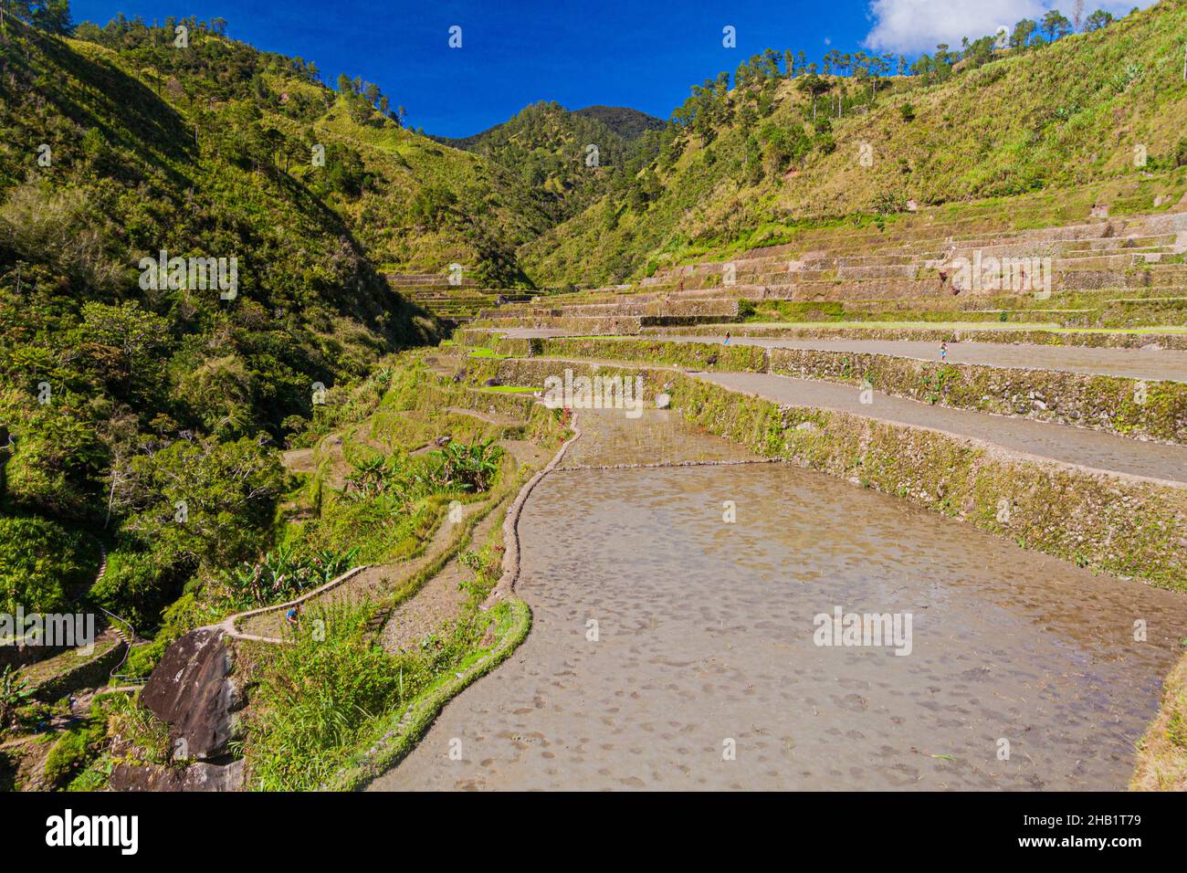 Rice terraces near Banaue, Luzon island, Philippines Stock Photo - Alamy
