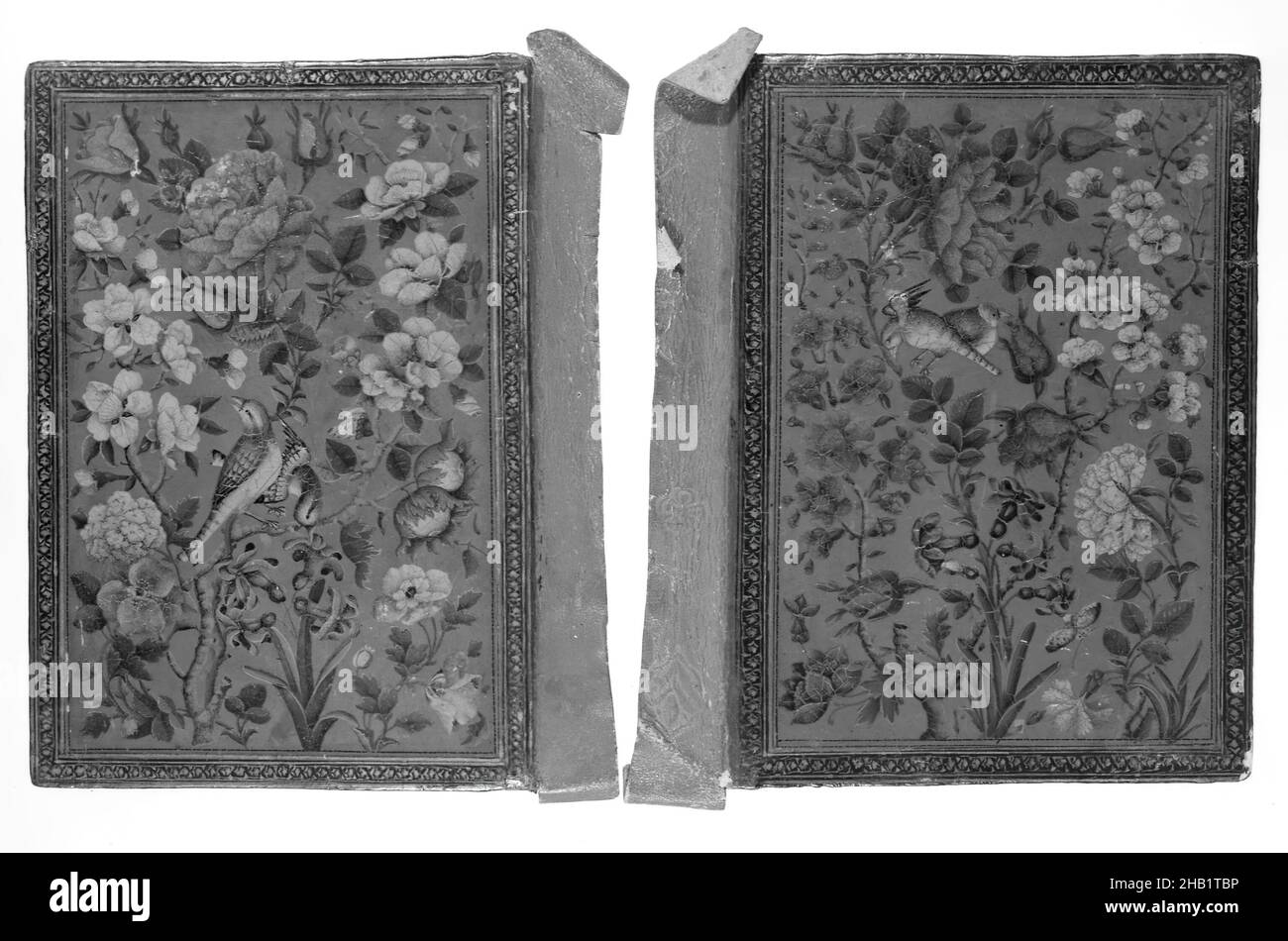 Book x century Cut Out Stock Images & Pictures - Alamy