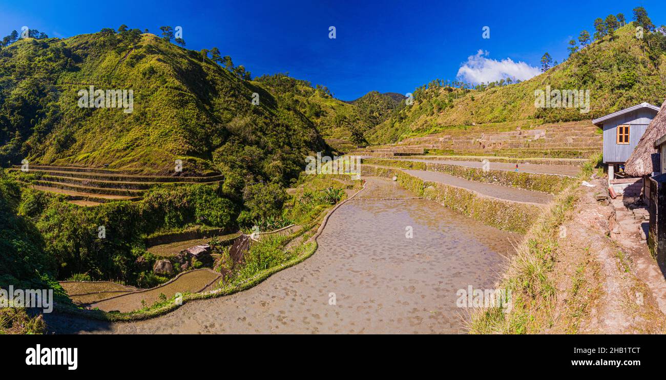 Rice terraces near Banaue, Luzon island, Philippines Stock Photo - Alamy