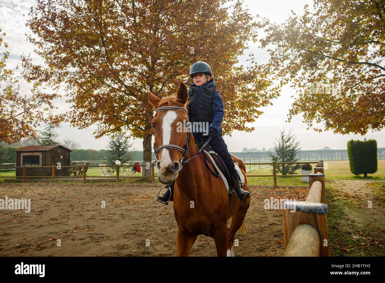 Teen boy ranch hi-res stock photography and images - Alamy