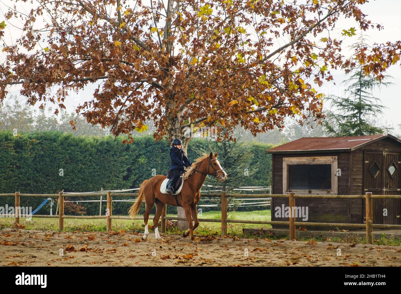 Young boy riding horse at the ranch, learning horseback riding Stock ...