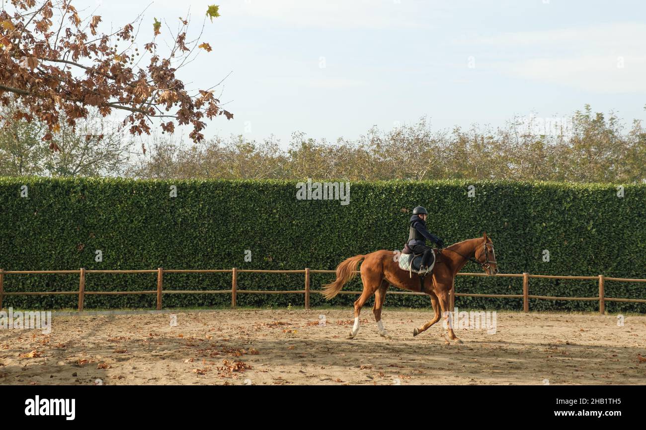 Young boy horseback riding at the ranch Stock Photo - Alamy