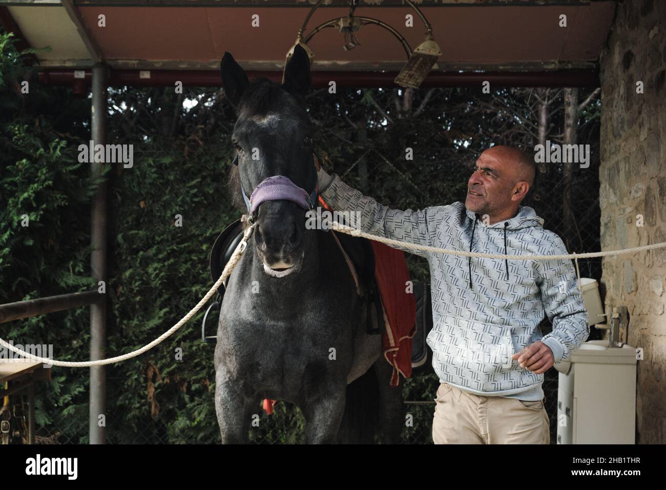 Adult man taking care of horse at the stall after horseback riding ...