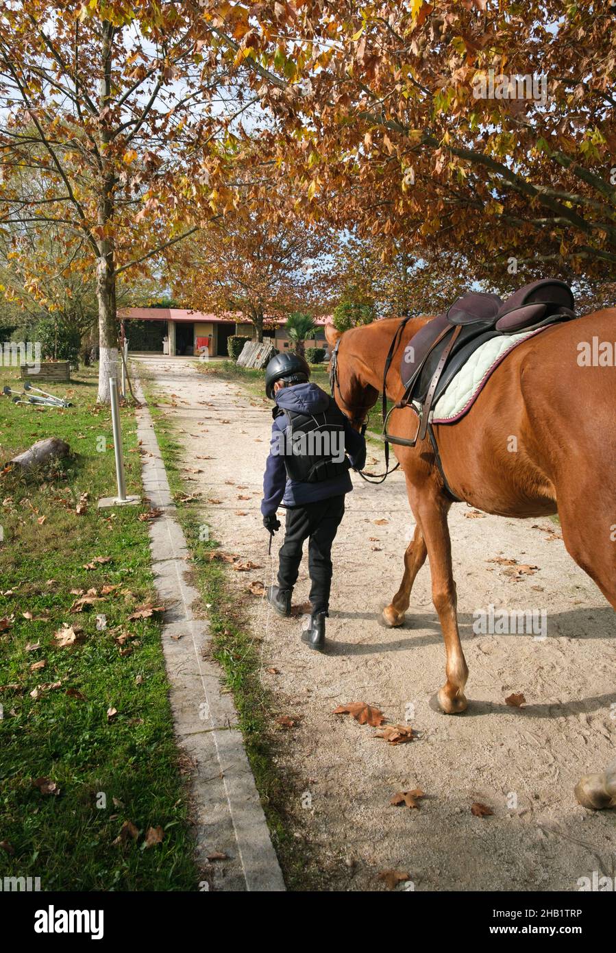 Boy walking with horse at the ranch. Horseback riding concept Stock ...