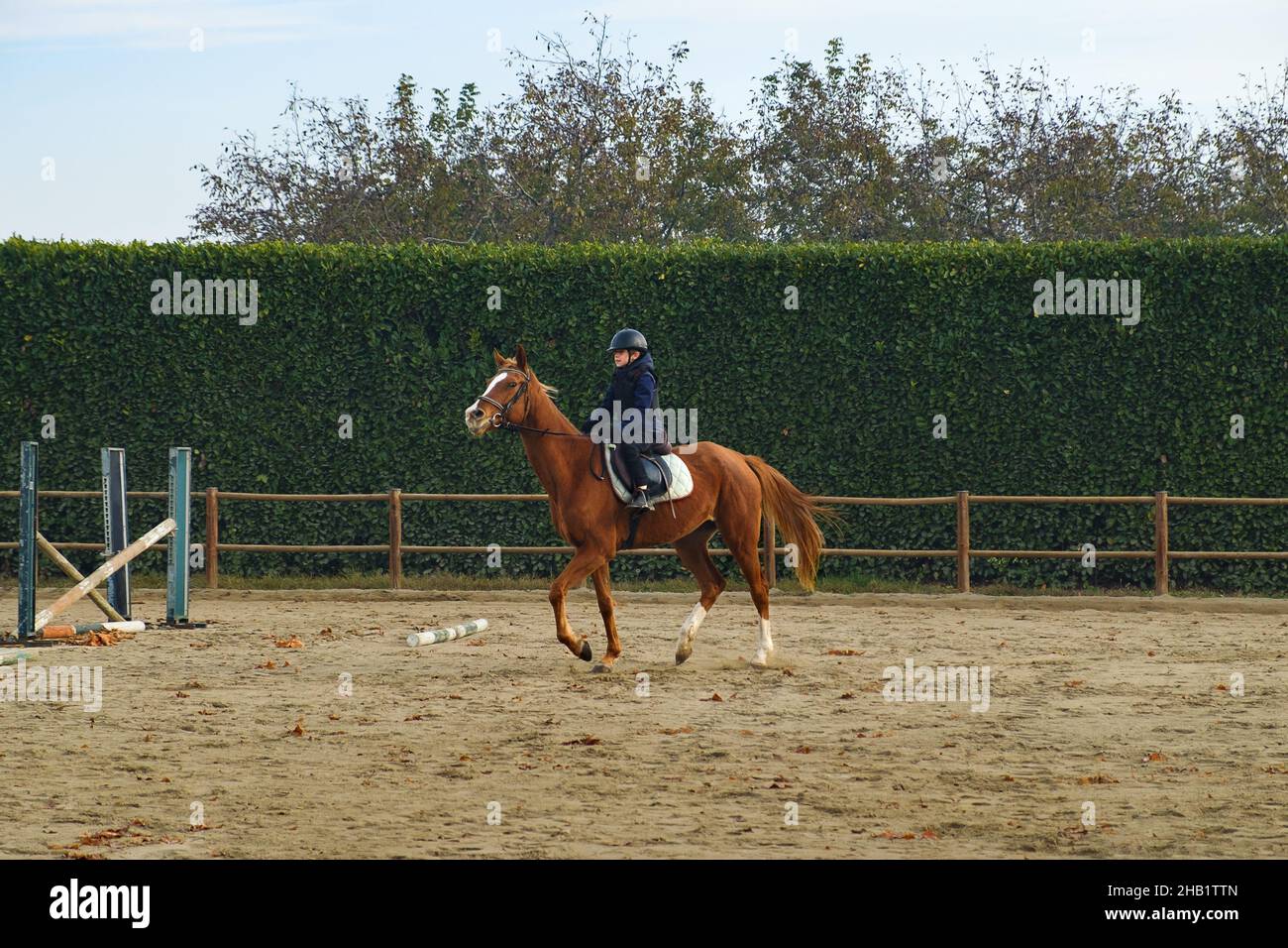 Young boy riding horse at the ranch, learning horsback riding with ...
