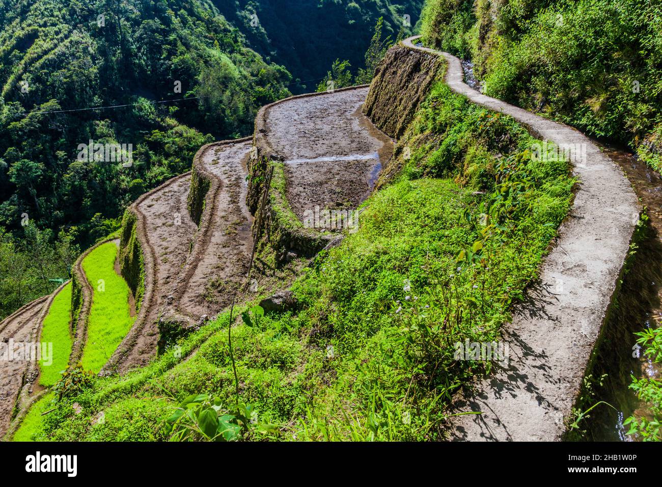 Rice terraces near Banaue, Luzon island, Philippines Stock Photo - Alamy