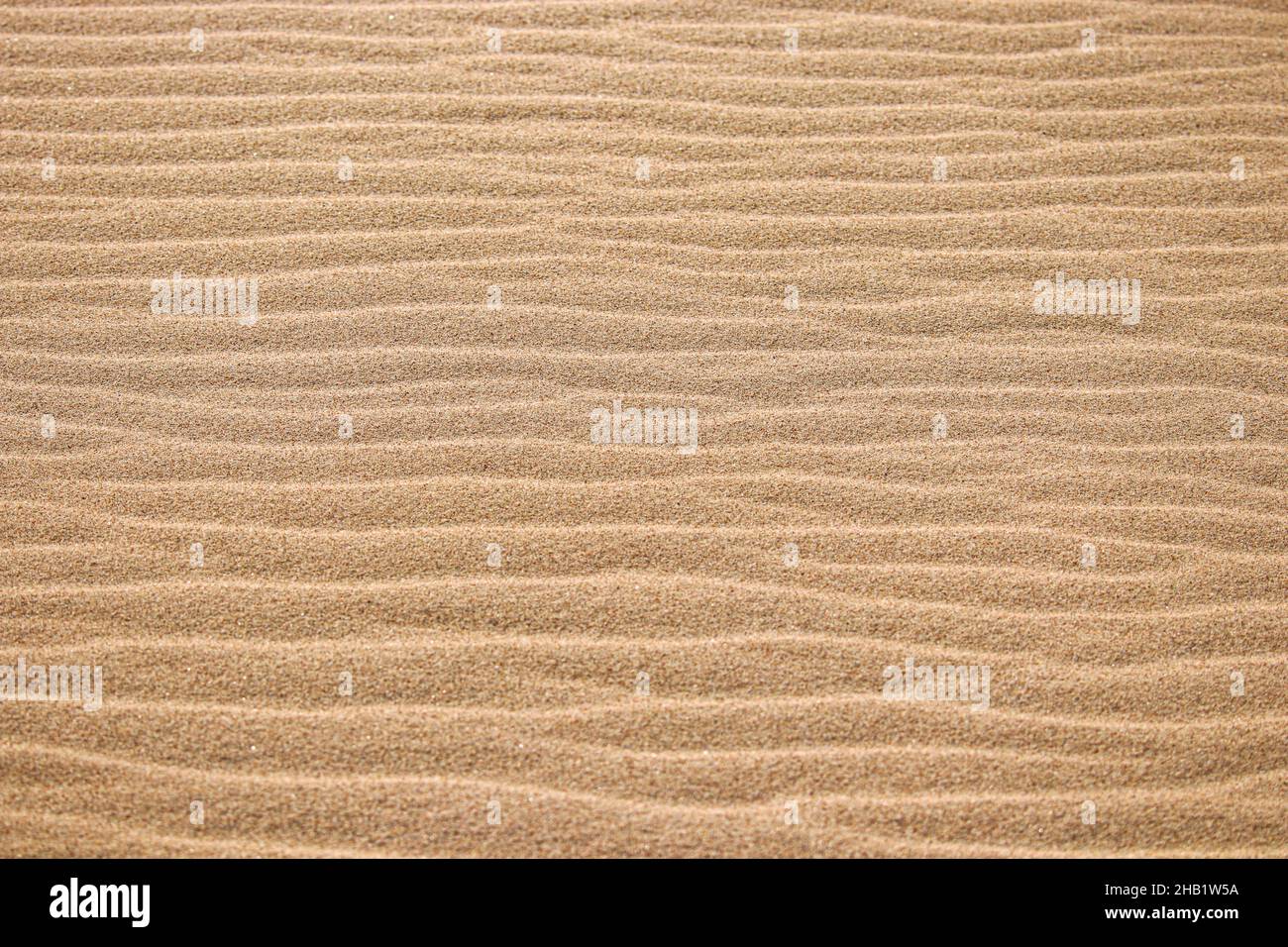 Desert sand texture. Desert sand dune Stock Photo - Alamy