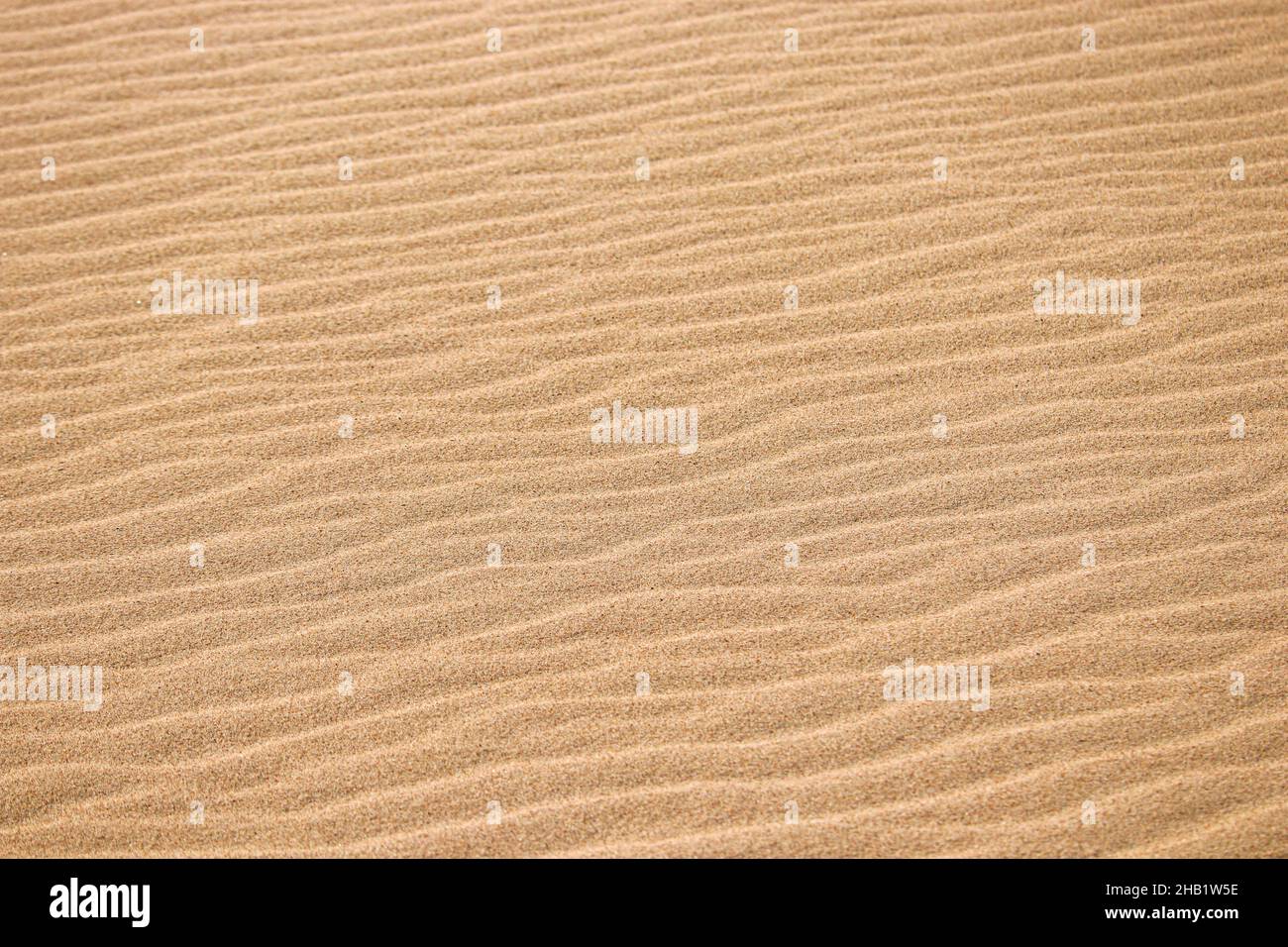 Desert sand texture. Desert sand dune Stock Photo - Alamy