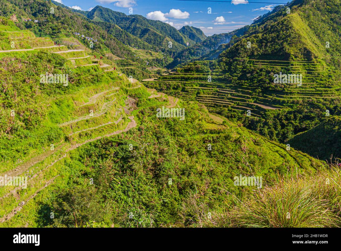 Ifugao rice terraces on Luzon island, Philippines Stock Photo - Alamy