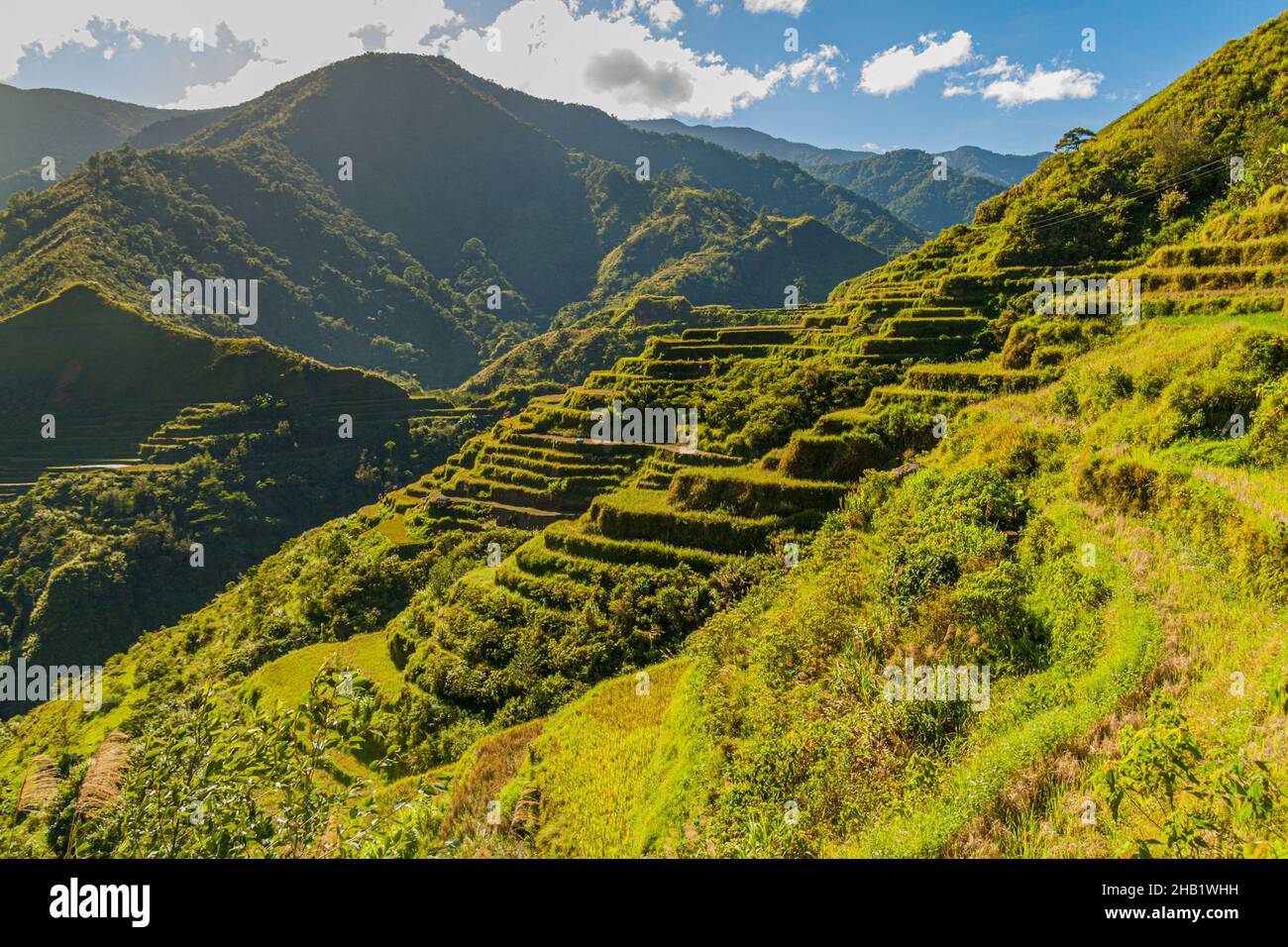 Ifugao rice terraces on Luzon island, Philippines Stock Photo - Alamy