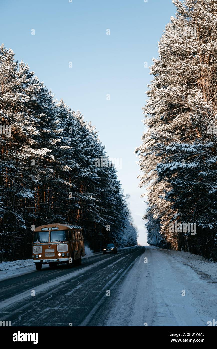 Winter bus in the pine forest Stock Photo - Alamy