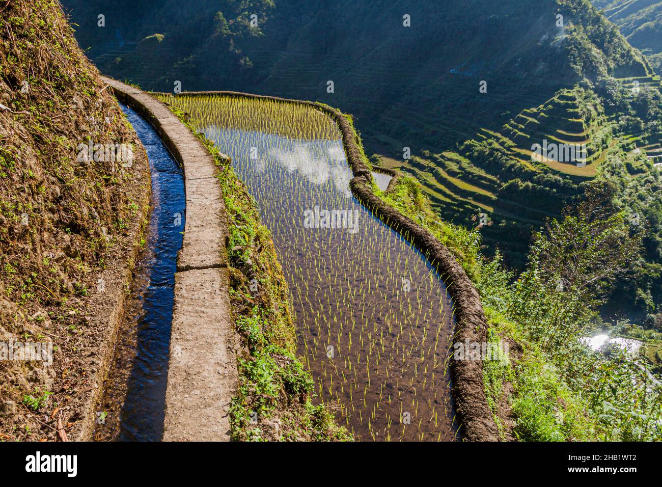 Ifugao rice terraces on Luzon island, Philippines Stock Photo - Alamy