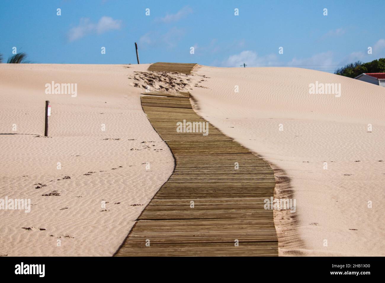 Boardwalk through the sand dunes Stock Photo - Alamy