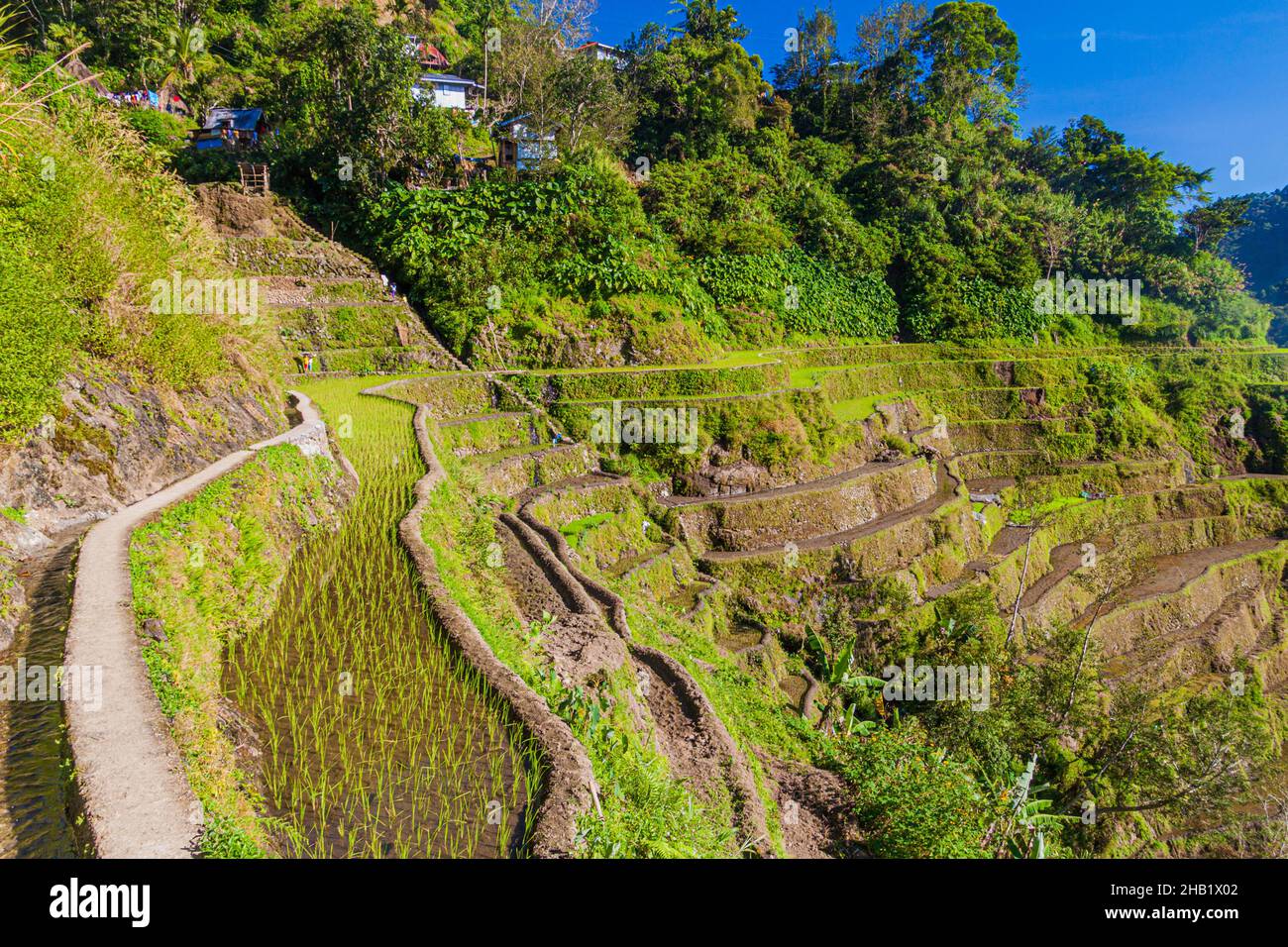 Ifugao rice terraces on Luzon island, Philippines Stock Photo - Alamy