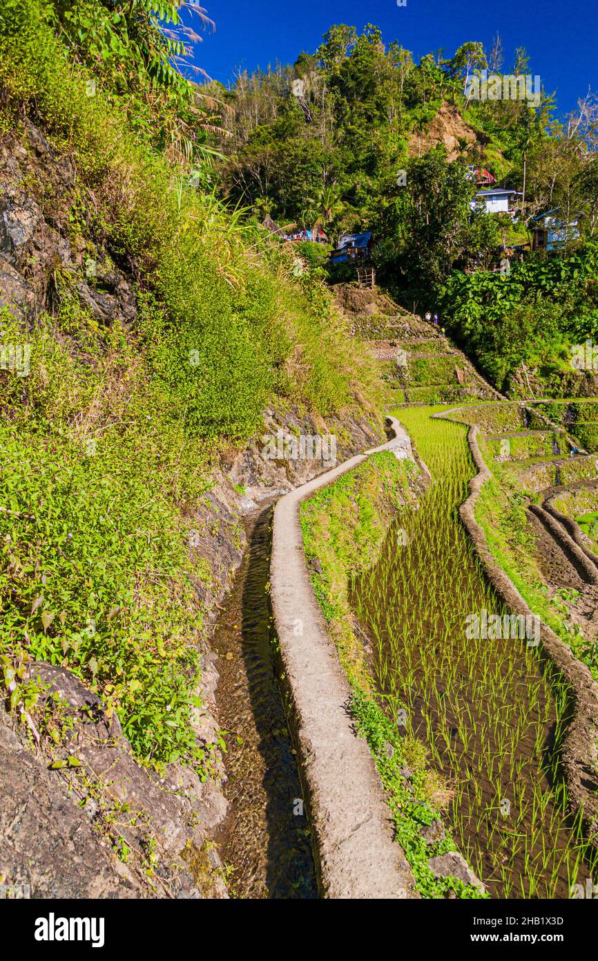 Ifugao rice terraces on Luzon island, Philippines Stock Photo - Alamy