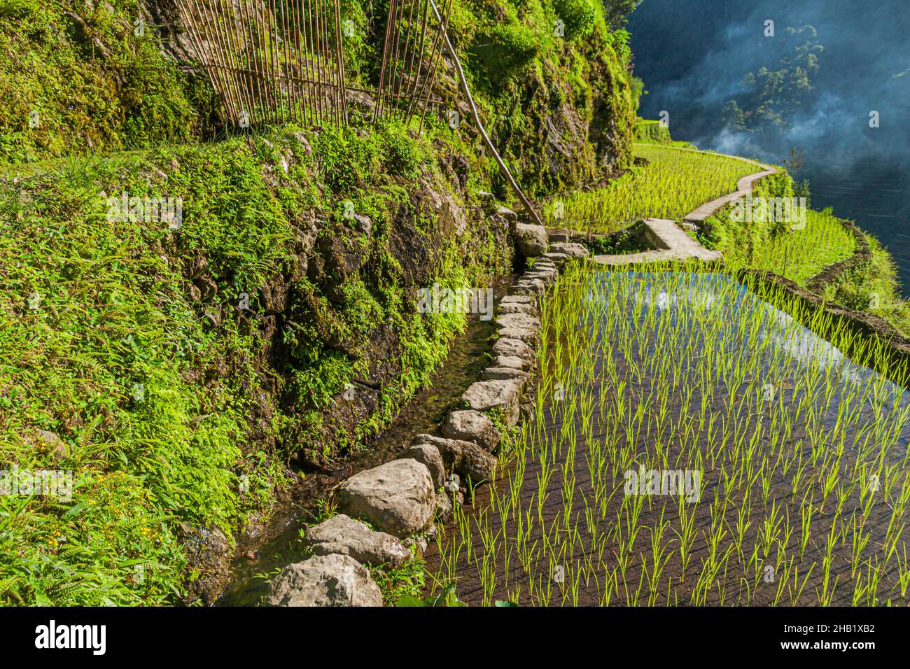 Ifugao rice terraces on Luzon island, Philippines Stock Photo - Alamy