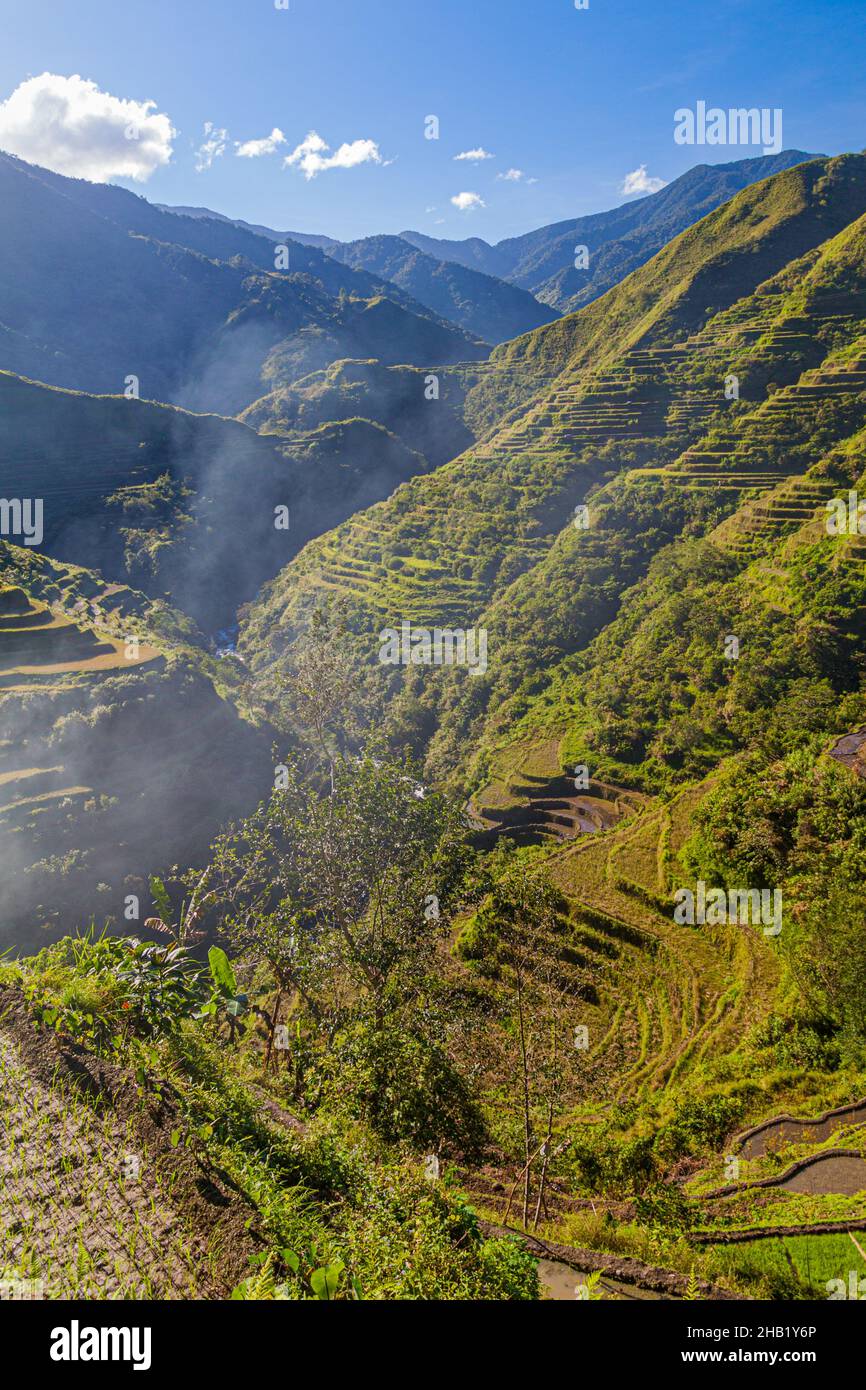 Ifugao rice terraces on Luzon island, Philippines Stock Photo - Alamy