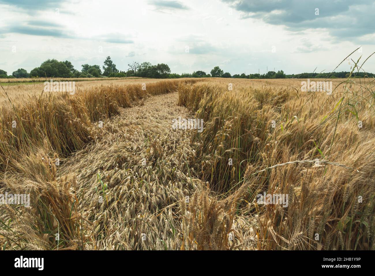 Destroyed landscape hi-res stock photography and images - Alamy