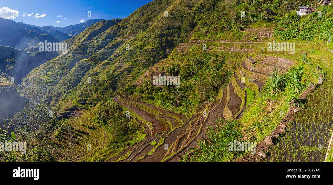 Ifugao rice terraces on Luzon island, Philippines Stock Photo - Alamy