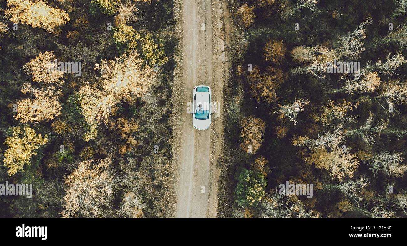 Car and road and trees and sun hi-res stock photography and images - Alamy