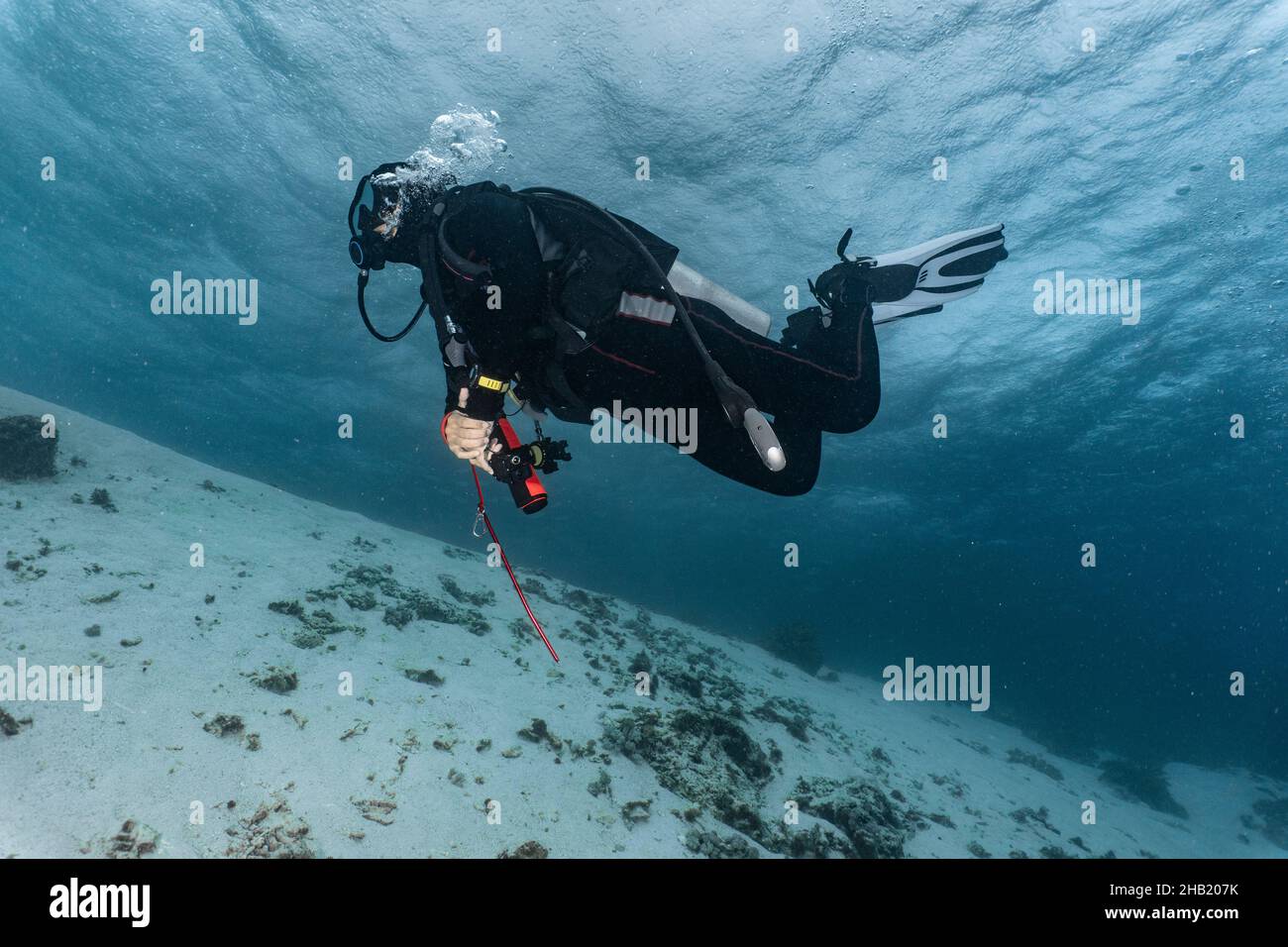 scuba diver exploring the tropical waters around Komodo Stock Photo - Alamy
