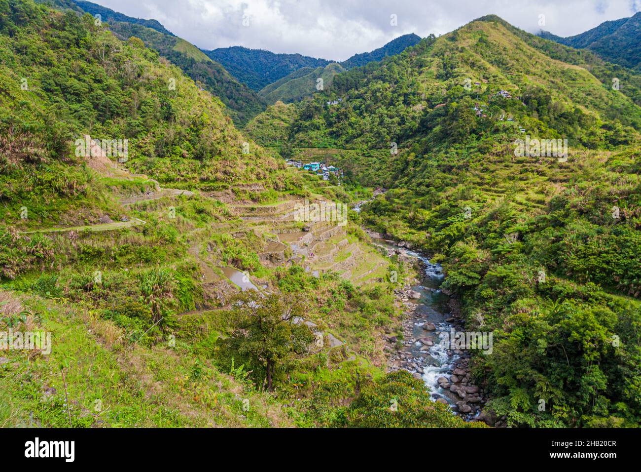 Rice terraces near Cambulo village, Luzon island, Philippines Stock ...